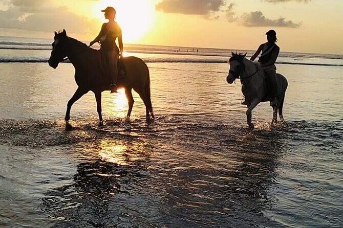 Private Bali Horse riding at saba beach - Final Thoughts
