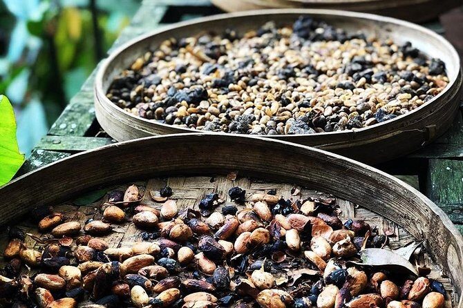 Private Bali Tanah Lot and Taman Ayun Temple Tour with Japanese Speaking Guide - The Experience: Pros and Cons