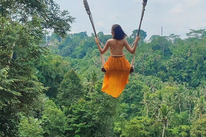 Private Bali Tour with Lisensed Bali Driver - Price and Value: Is It Worth It?