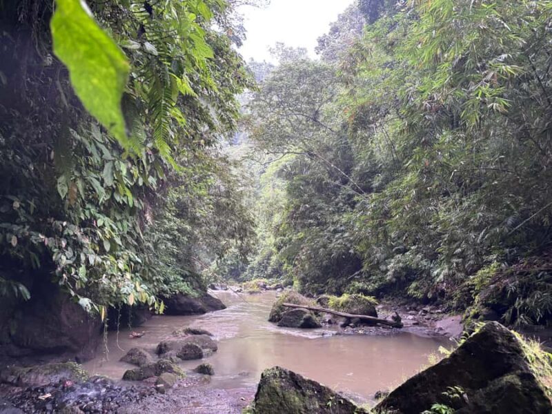 Private Balinese Body and Soul Cleansing Journey - Final Thoughts: Who Will Love This Experience?