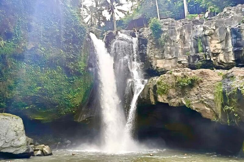 Private Balinese Culture Experience: Canang Making & Temple - Cultural and Culinary Highlights at Village Garden Café