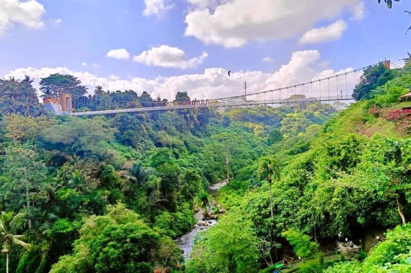 Private Balinese Culture Experience: Canang Making & Temple - Practical Details: What to Know Before You Go