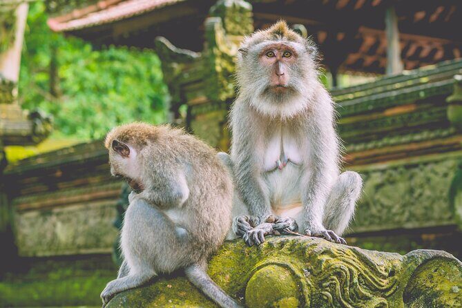 Private Bali's North Sacred Sites and Idyllic Nature Exploration - A Complete Look at Private Bali’s North Sacred Sites and Idyllic Nature Exploration