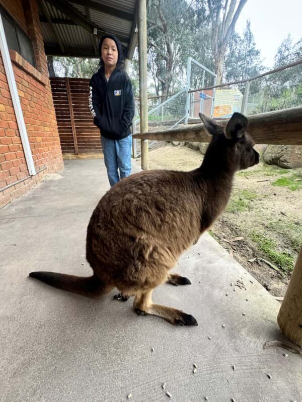 Private Ballarat Sovereign Hill Gold Mine Tours - FAQ