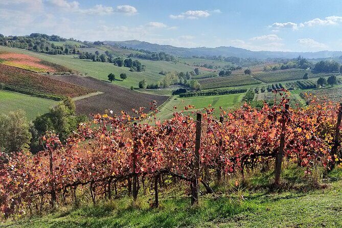 Private Balsamic vinegar & Parmigiano Reggiano factory visits - Key Points