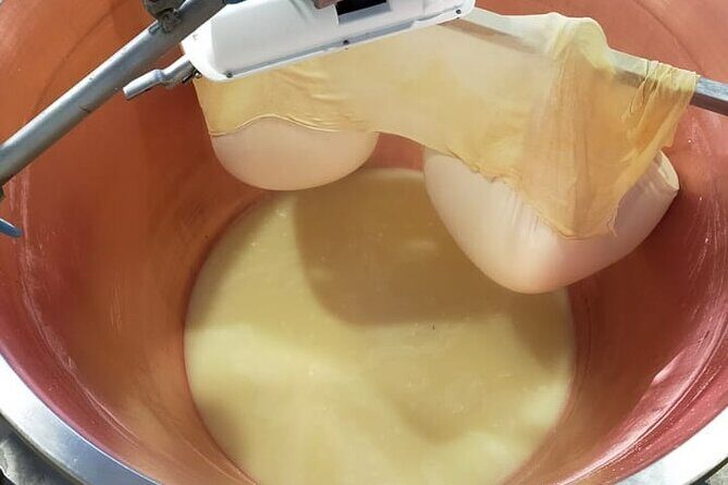 Private Balsamic vinegar & Parmigiano Reggiano factory visits - The Experience: Why It’s Worth It