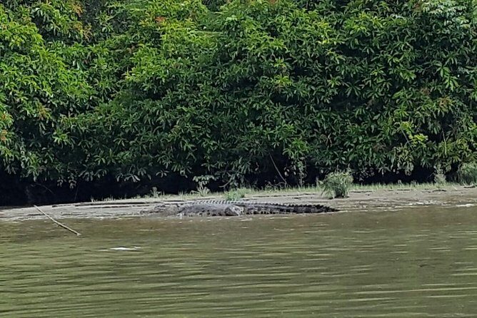 Private Bandar Highlight, Water Village & Proboscis Monkey Tour - An In-Depth Look into the Tour Experience