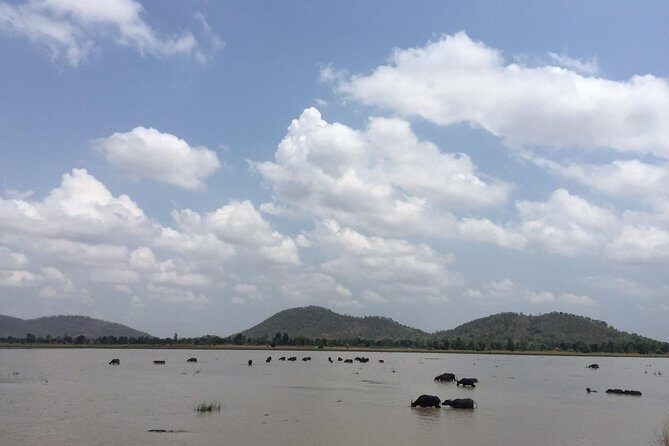 Private Banteay Chhmar, Banteay Toap & Ang Trapaeng Thma Guided Tour - The Sum Up