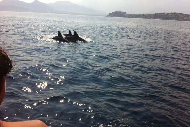 Private baptism in the Bay of Calvi - Introduction