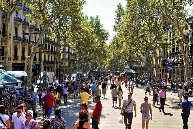 Private Barcelona Highlights Tour with Hotel pick-up - An Honest Look at the Experience