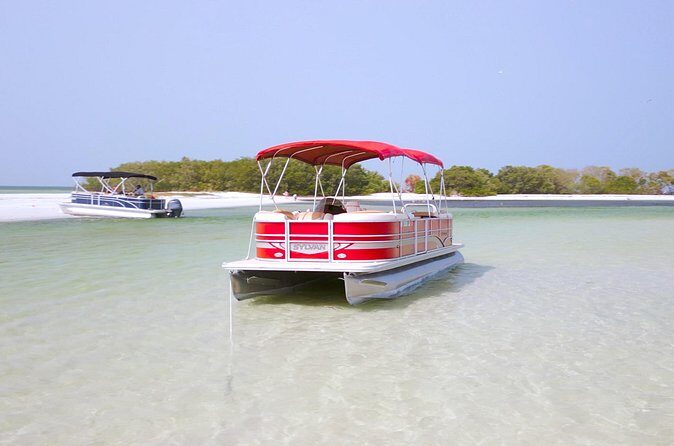 Private Barrier Island Boat Tours - The Real Value: What Makes This Tour Stand Out?