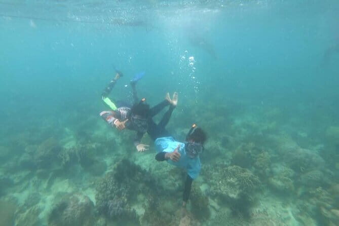 Private Batam Island Snorkeling and Canoe from Singapore - Key Points