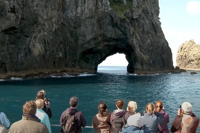 [PRIVATE] Bay of Islands Discovery From Auckland - How the Tour Unfolds: A Step-by-Step Breakdown