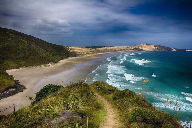 [PRIVATE] Bay of Islands Discovery From Auckland - Final Thoughts: Is It Worth It?