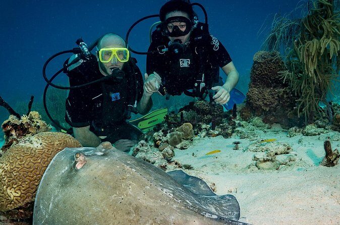 Private Bayahibe 3 Tank Diving with Lunch from Punta Cana - Pricing and Value