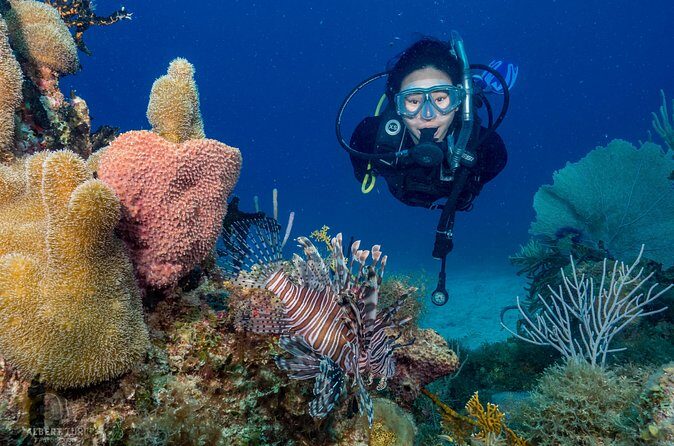 Private Bayahibe 3 Tank Diving with Lunch from Punta Cana - Practical Details