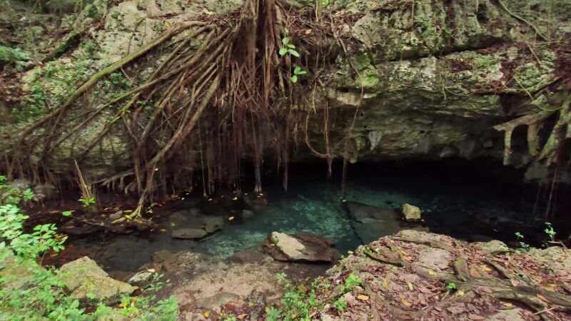 Private: Bayahibe: Jungle Walk and Cenote Snorkeling Tour - An In-Depth Look at the Experience