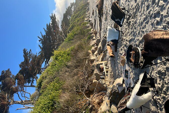 Private Beach Bonfire in Carmel-by-the-Sea - An In-Depth Look at the Carmel Beach Bonfire Experience