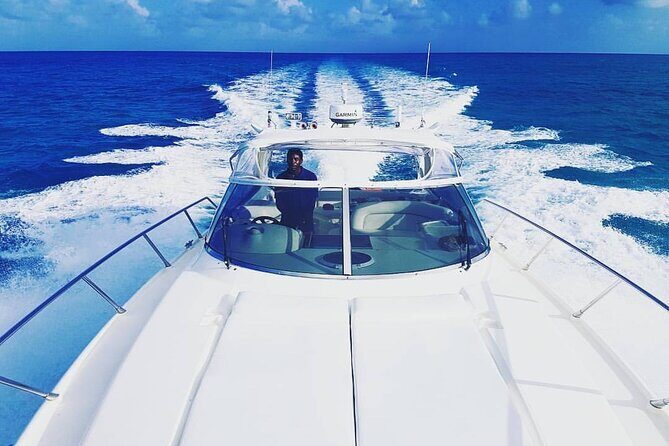 Private Beach Day / 50ft Sun Seeker or 33ft Boat / 1-10 Guests - A Deep Dive into the Experience