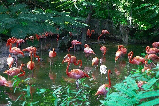 Private Beach Day/Guided TourThrough New Providence Island - A Close Look at the Itinerary and What It Means for You