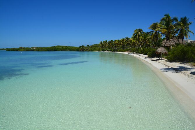 Private Beach Escape! Isla Contoy and Isla Mujeres with Snorkeling - The Itinerary: What to Expect on Your Day of Island Hopping