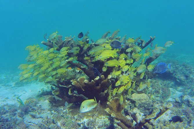 Private Beach Escape! Isla Contoy and Isla Mujeres with Snorkeling - Final Thoughts