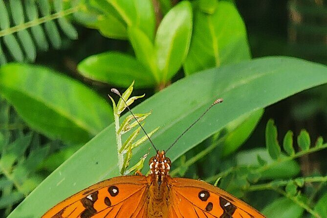 Private Beach Hike Sunrise Serenity - Review of the Private Beach Hike Sunrise Serenity