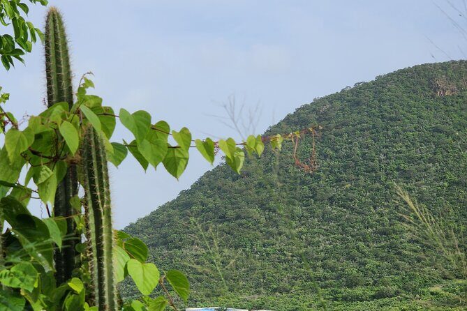 Private Beach Hike Sunrise Serenity - Who Is This Tour Best For?