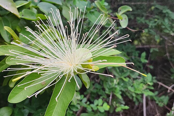 Private Beach Hike Sunrise Serenity - FAQ