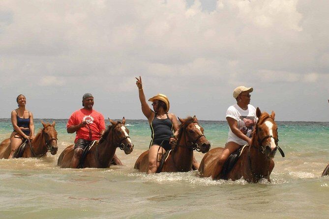 Private Beach Horseback Riding from Ocho Rios - The Itinerary in Detail