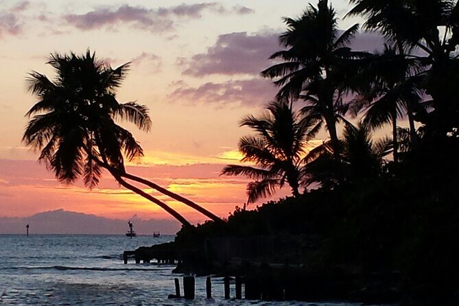 Private Beach or Sunset Boat Tour In Naples Florida - Why Choose This Private Boat Tour?