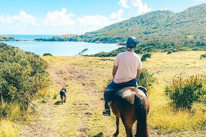Private Beach Picnic Horseback Ride with Sandy Hoofs St. Lucia - Practical Details and Considerations