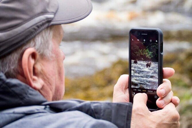 Private Bear Viewing at Waterfall Creek - The Sum Up