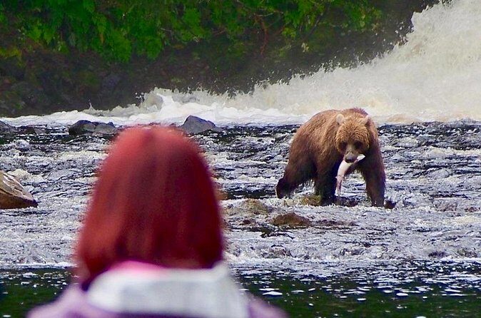 Private Bear Viewing at Waterfall Creek - FAQ