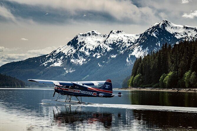 Private Bear Viewing By Seaplane - Summary and Who Should Consider This Tour