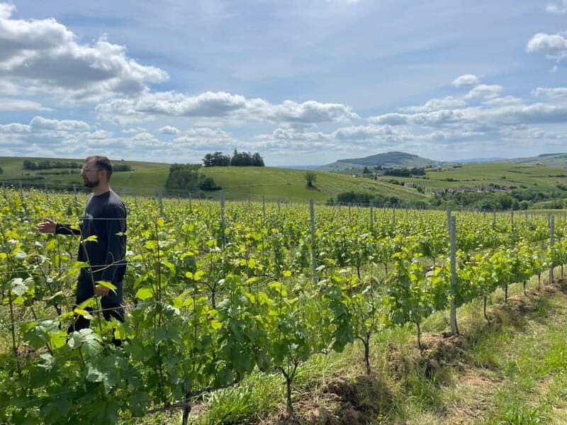 Private Beaujolais Wine Tour - Is it worth the price?