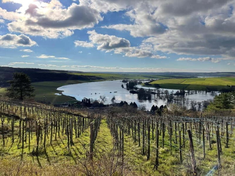 Private Beaujolais Wine Tour - The Sum Up: Who Will Love This Tour?