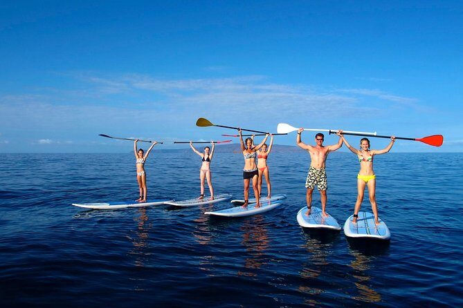 Private Beginner Paddleboard 101 Lesson: Polo Beach, Turtle Town - Exploring the Maui Paddleboarding Experience