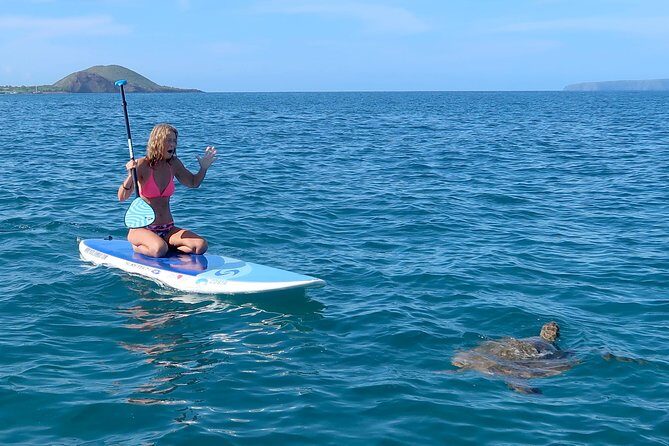 Private Beginner Paddleboard Lesson with Snorkel in Turtle Town - What Makes This Tour Stand Out?