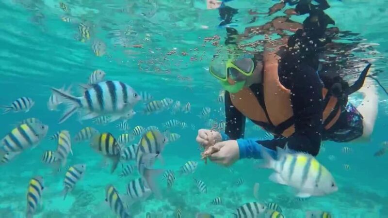 Private: Beginner Scuba Dive in Bávaro: 30-Minute Reef Dive - What You Can Expect from the Experience