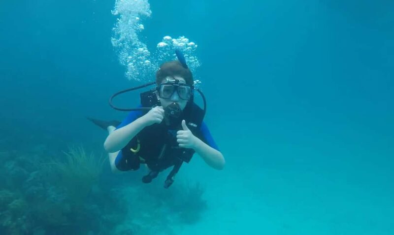 Private: Beginner Scuba Dive in Bávaro: 30-Minute Reef Dive - The Sum Up