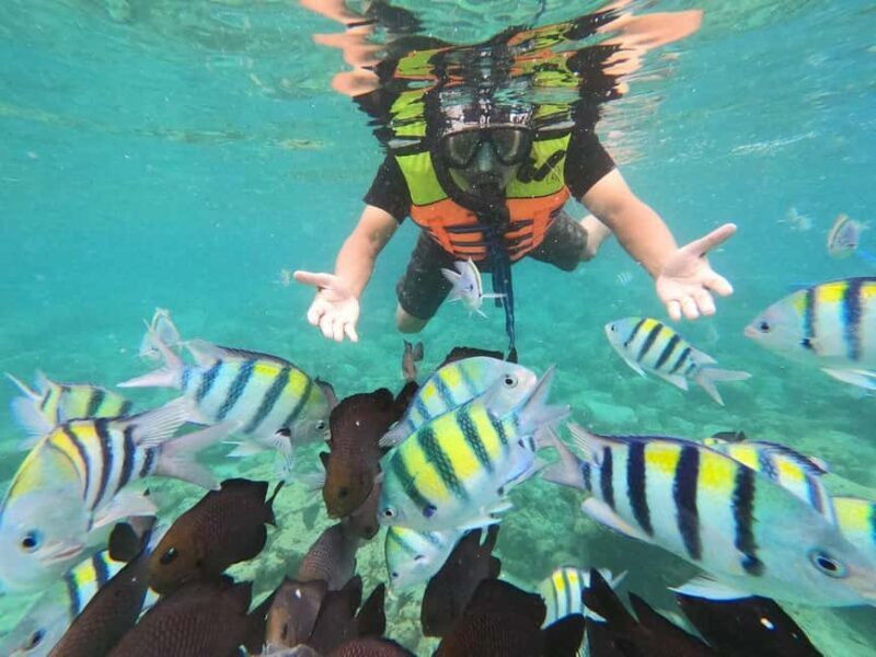 Private: Beginner Scuba Dive in Bávaro: 30-Minute Reef Dive - FAQ