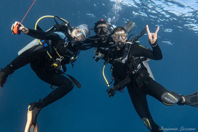 Private Beginner Scuba Diving Experience in Cabo San Lucas - How This Tour Compares and Why It’s a Wise Choice