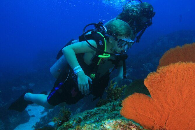 Private Beginner Scuba Diving Experience in Cabo San Lucas - FAQs