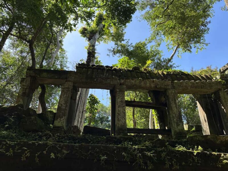 Private Beng Mealea Tour  The Lost Jungle Temple Experience - Practical Details and Tips