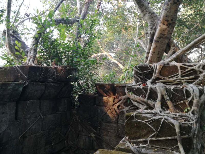 Private Beng Mealea Tour  The Lost Jungle Temple Experience - Who Should Consider This Tour?