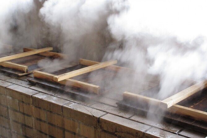 Private Beppu Hell Sightseeing Tour by Car - The Details of the Beppu Hell Sightseeing Tour