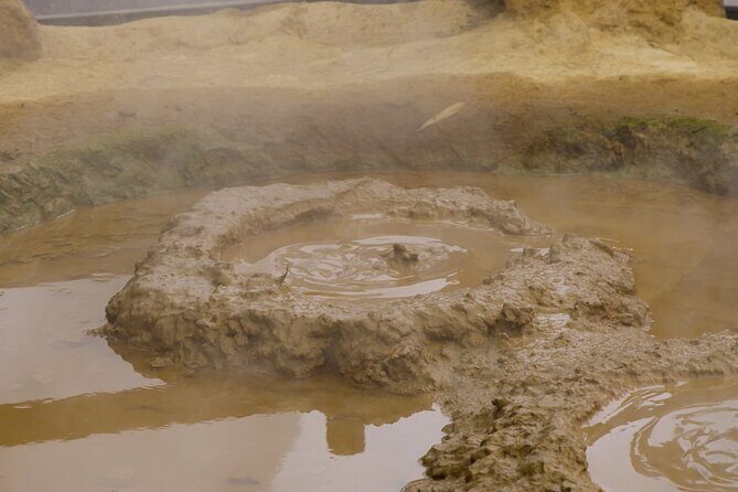 Private Beppu Hell Sightseeing Tour by Car - FAQ