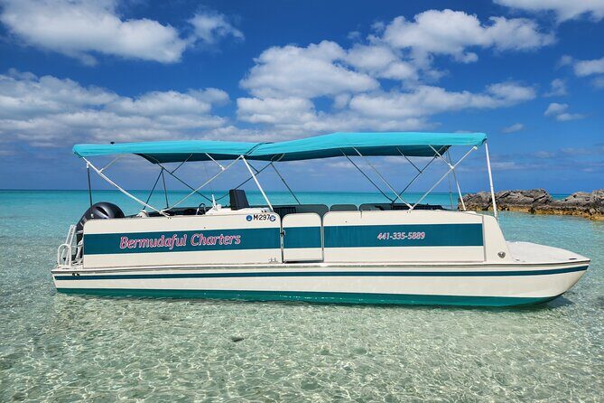 Private Bermuda Historic Sightseeing Cruise With Swim Stops - Insights from Past Guests