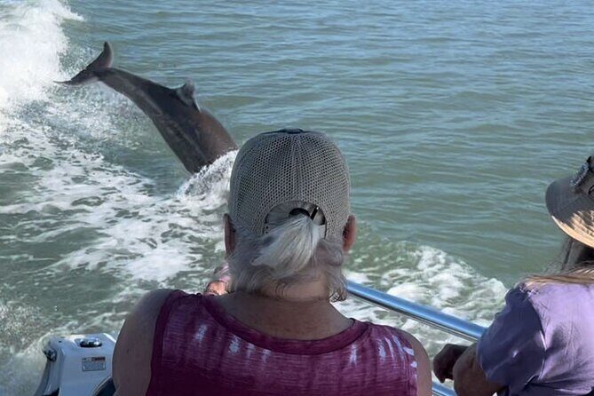 Private Best of Marco Island Dolphin Tour - Who Should Consider This Tour?